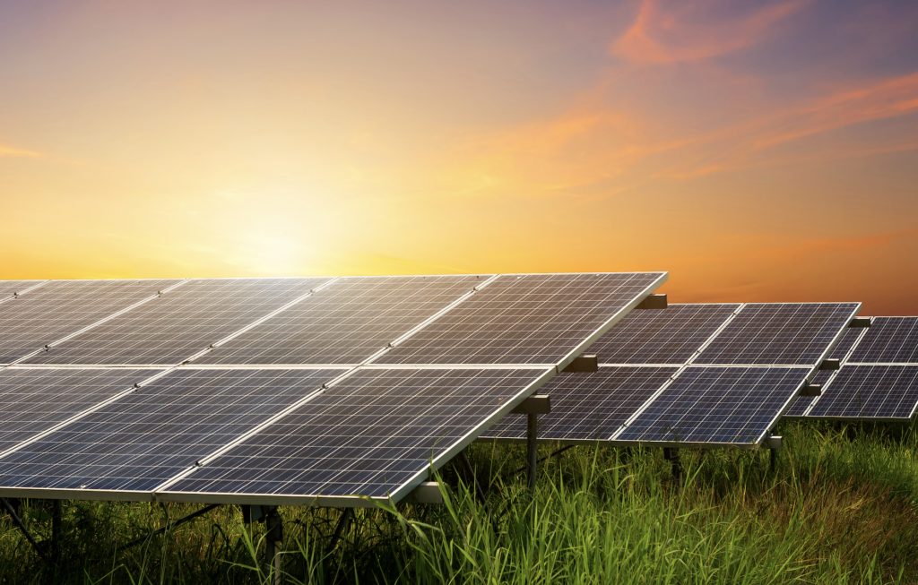 Leading the Grid Connection Process | Clutch Consulting